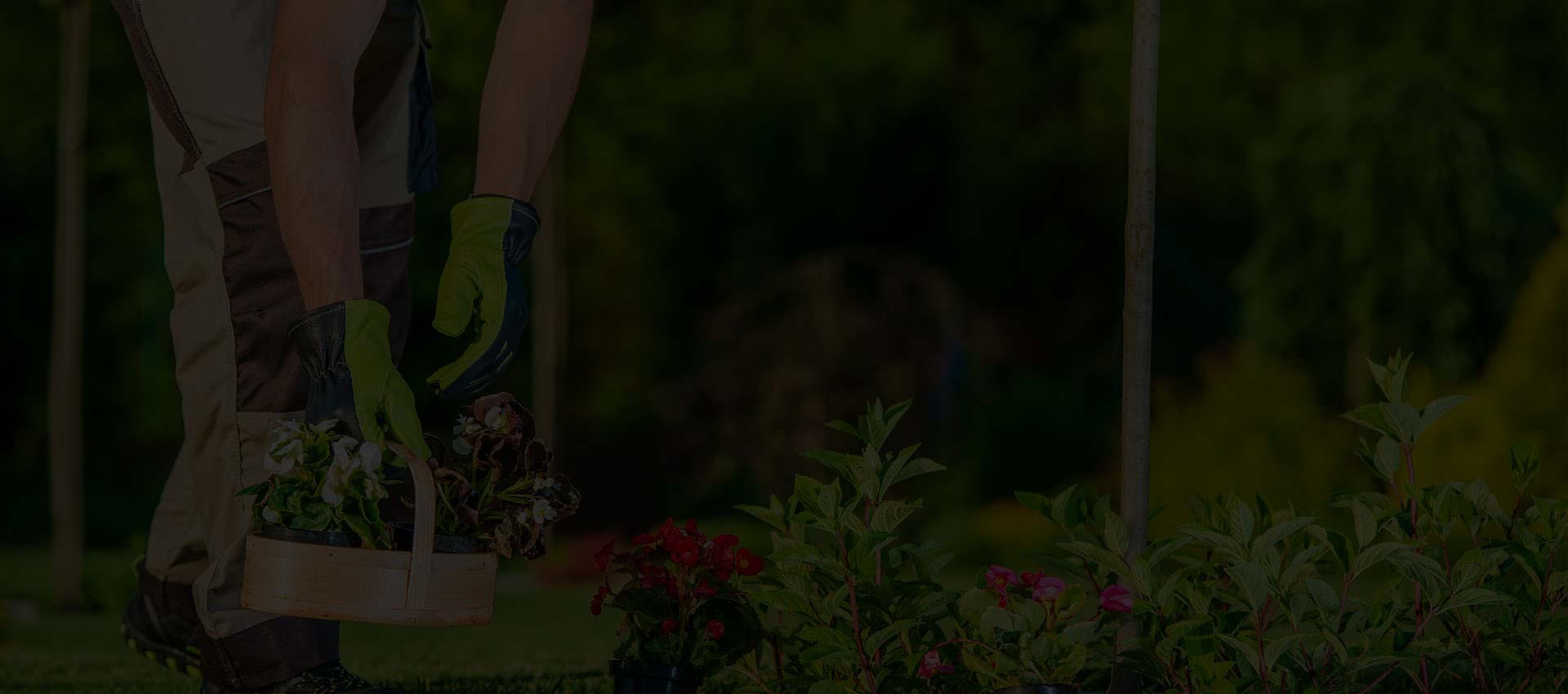 Touchdown Lawn Service - Touchdown Lawn Service